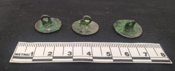 Skeletal Remains Found in Ridgefield | Office of State Archaeology